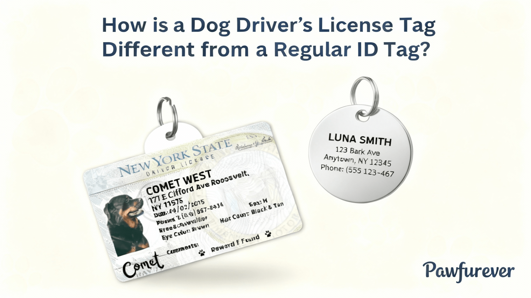 Dog License vs ID Tags: Differences | PawFurEver