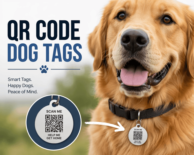 QR Code Dog Tag: The Smart Way to Keep Your Pet Safe in 2026 – PawFurEver