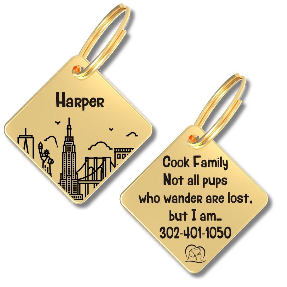 PawFurEver: Hub of Dog Walking Accessories | Made with Love