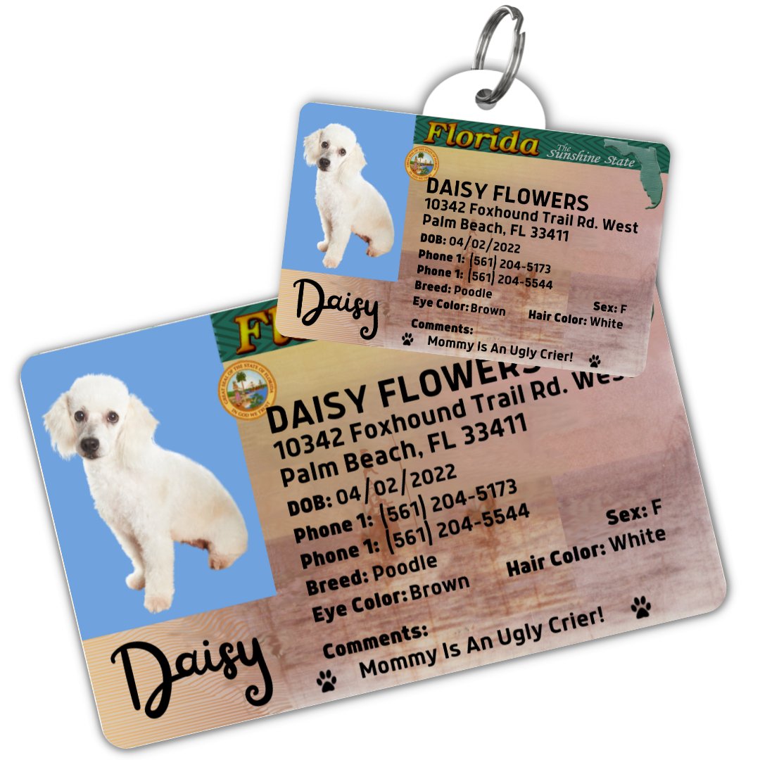 Drivers License Dog Tag for Dogs & Cats - All States 🐶 🐈 – PawFurEver
