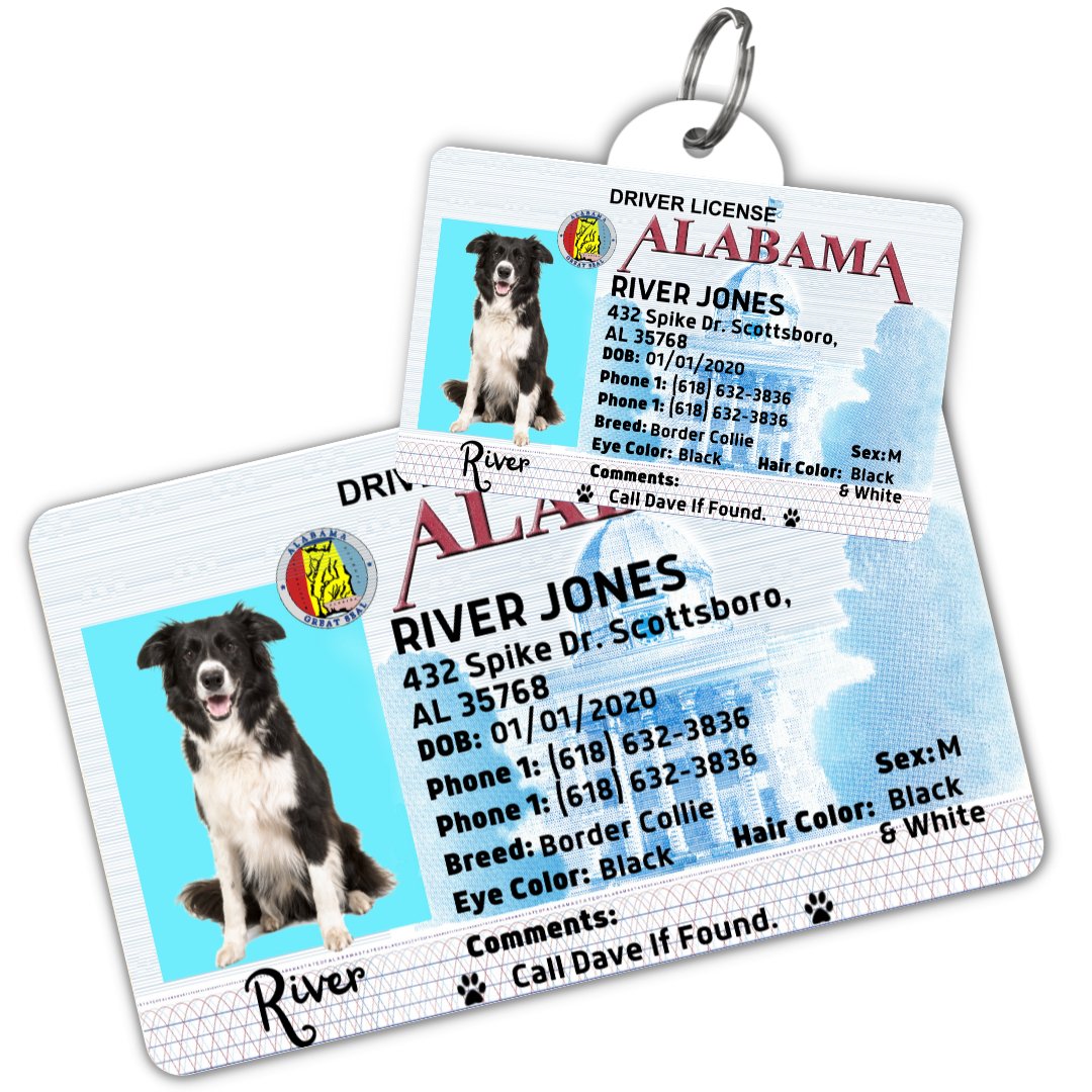 dog id tag examples