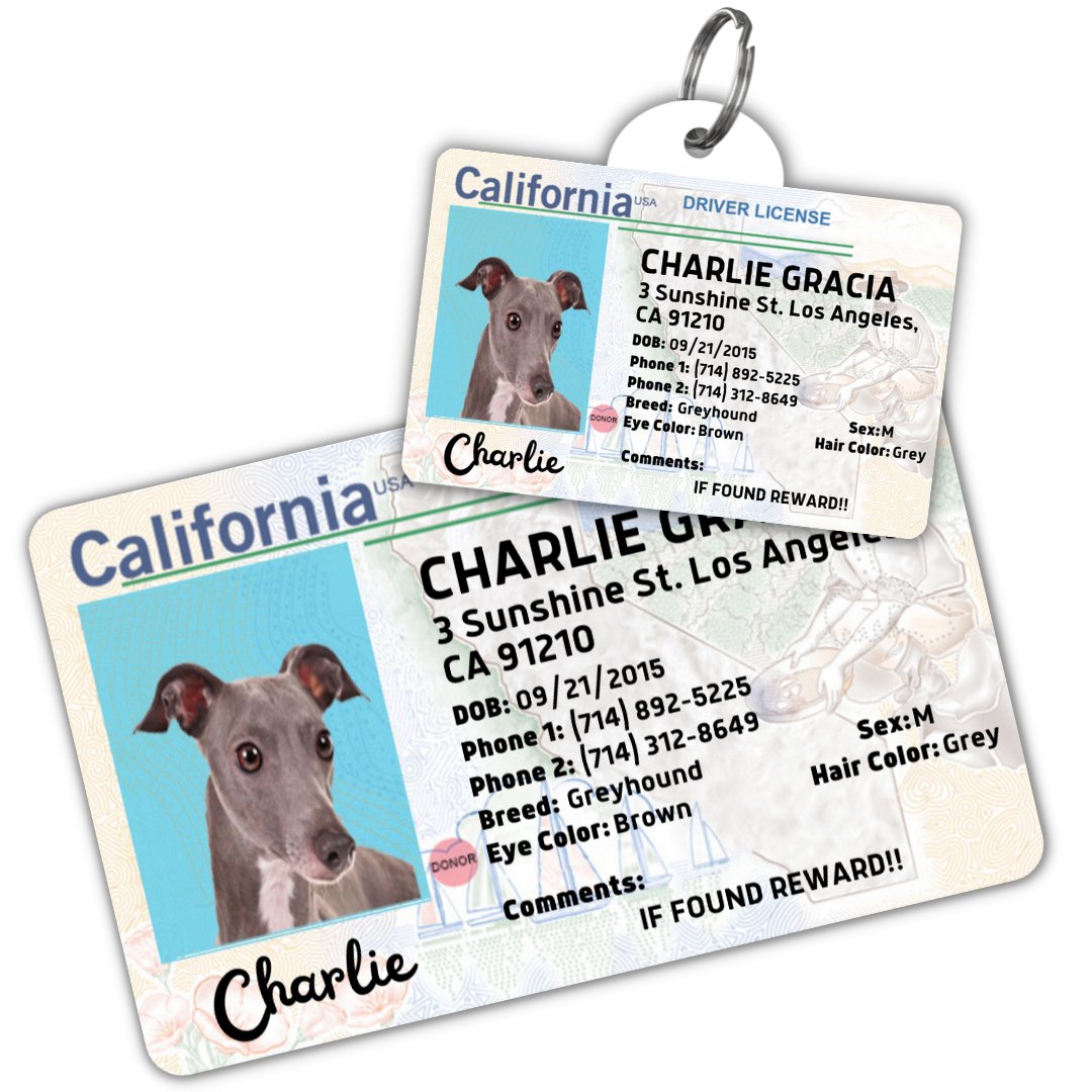 New York Dog License Tag – PawFurEver Personalized Engraving