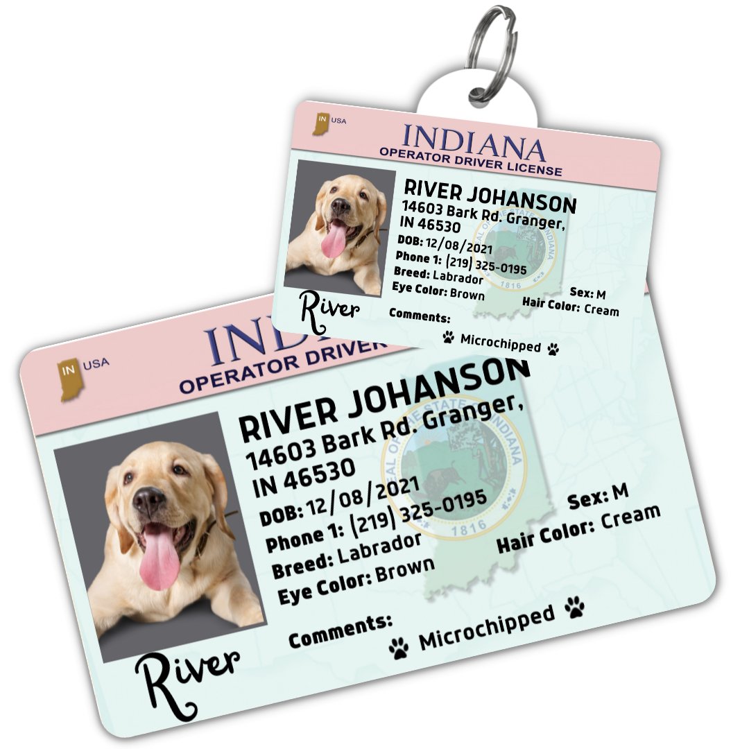 Drivers License Dog Tag for Dogs & Cats - All States 🐶 🐈 – PawFurEver