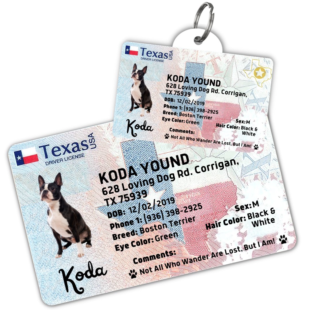 Drivers License Dog Tag for Dogs & Cats - All States 🐶 🐈 – PawFurEver
